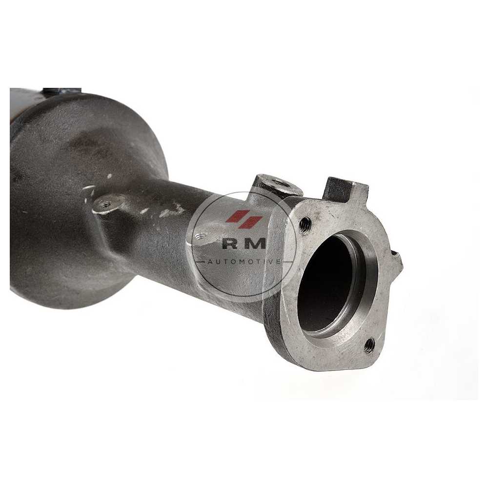 Nissan DPF KIETŲJŲ DALELIŲ FILTRAS B0802-EC00A kaina 233,44 tinka ...