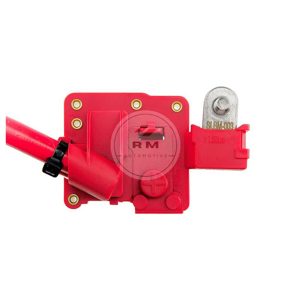 Bmw PLIUSINIS LAIDAS KLEMA BMW 61129225099, 61129321005 kaina 53,43 ...